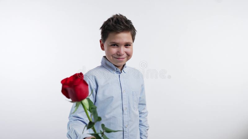 Cute boy gives a red rose stock video. Video of surprise - 275740403