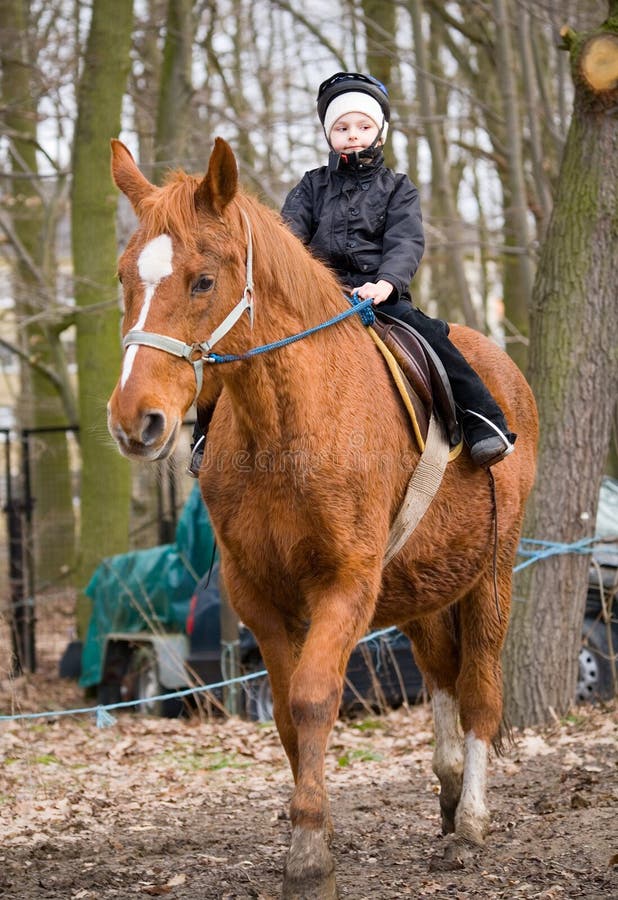 Boy rider stock image. Image of hoof, competitive, mare - 16615543