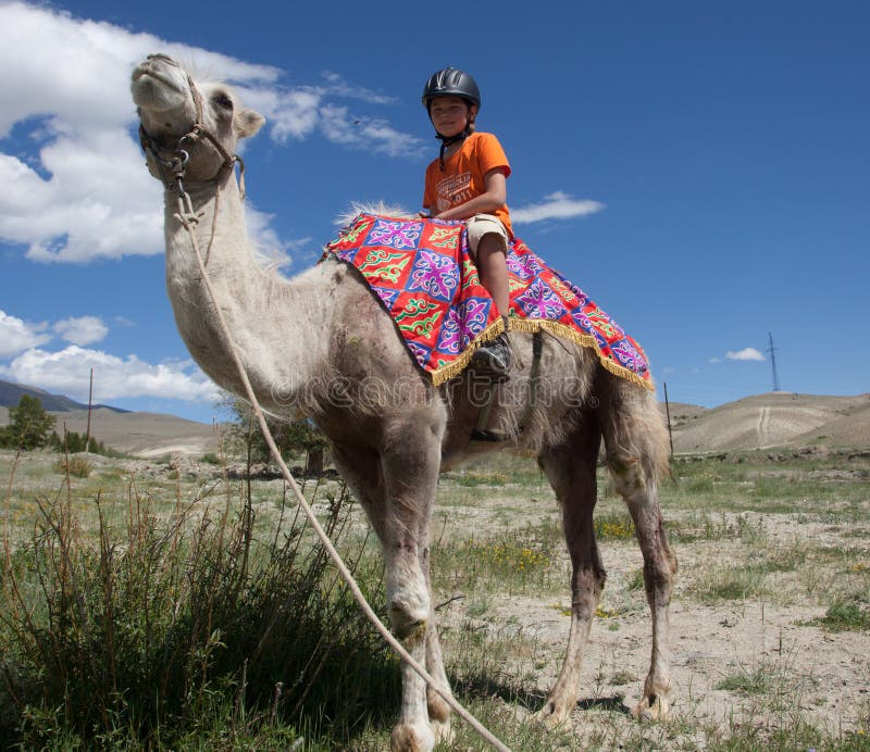 Boy Riding Astride Bactrian Stock Image - Image of posing, locations ...