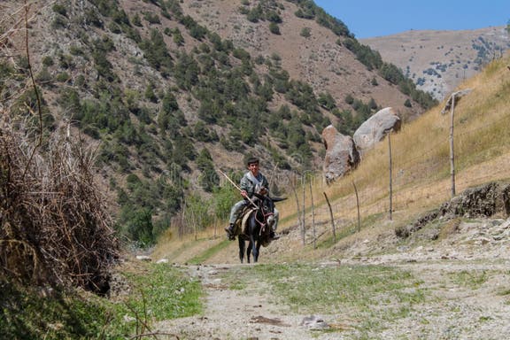 Boy Riding a Donkey on the Mountain Path Editorial Image - Image of ...