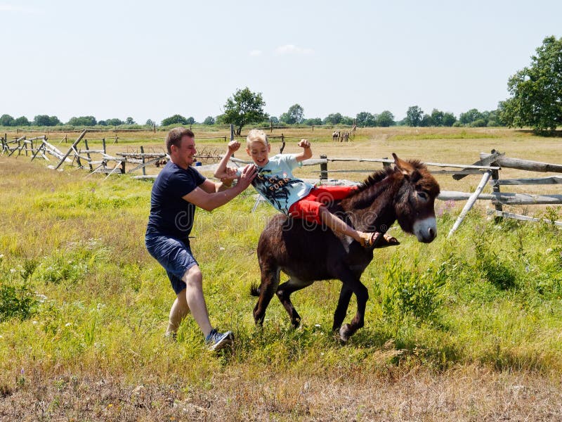 Boy Riding a Donkey in the Village Stock Photo - Image of person ...