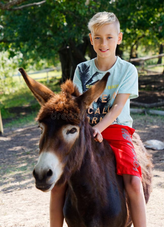 Boy Riding a Donkey in the Village Stock Image - Image of animal ...