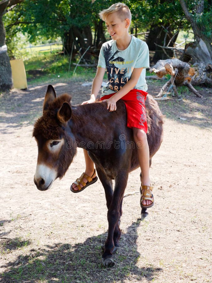 Boy Riding a Donkey in the Village Stock Image - Image of animal ...