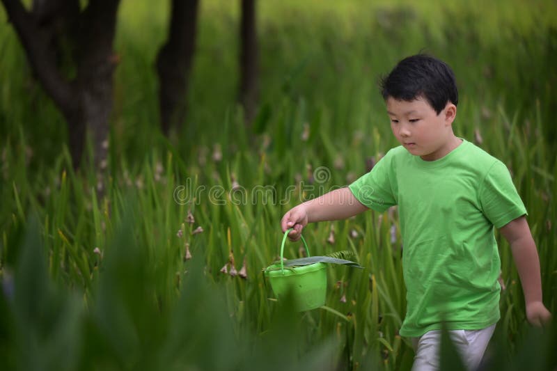Boy Catching Fish with a Fishing Net Stock Photo - Image of lake, green ...