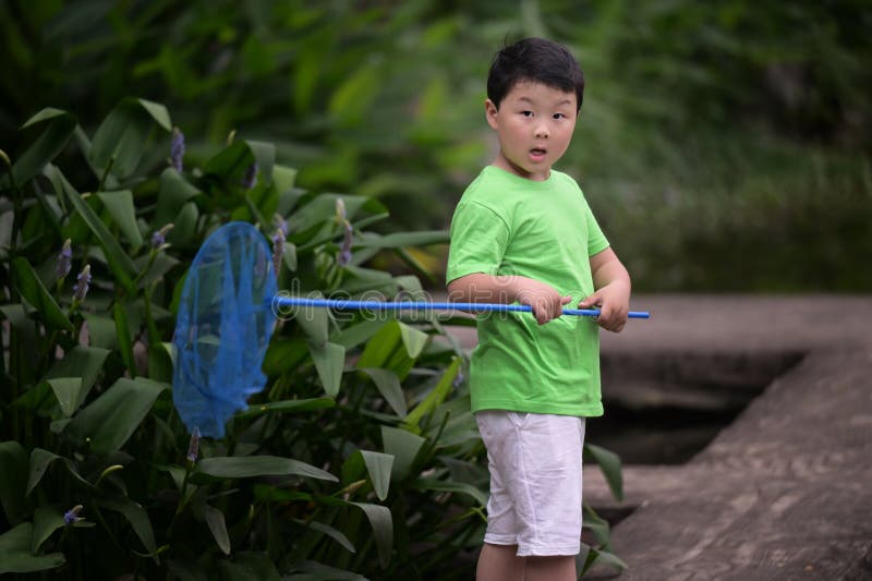216 Boy Net Fish Pond Stock Photos - Free & Royalty-Free Stock Photos ...