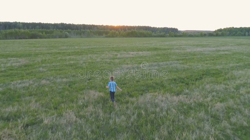 Boy is Running Down the Field on Sunset. Back View. Stock Video - Video ...