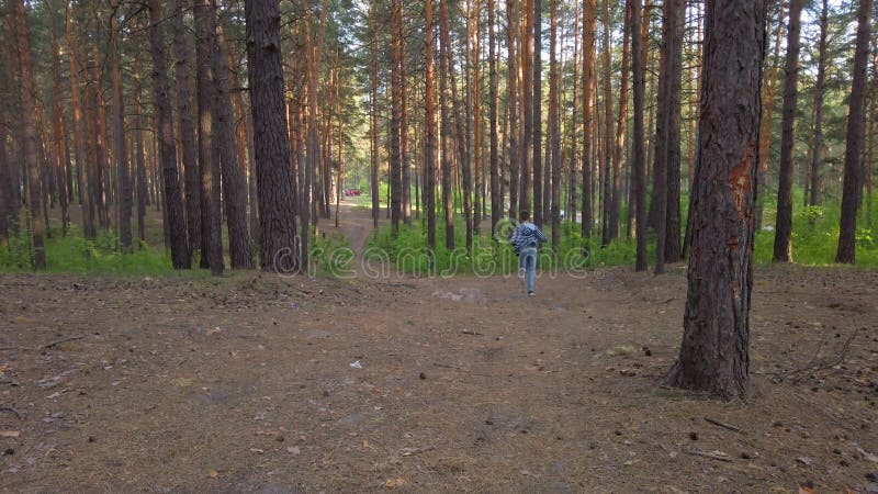A boy running in a forest stock footage. Video of park - 183514678