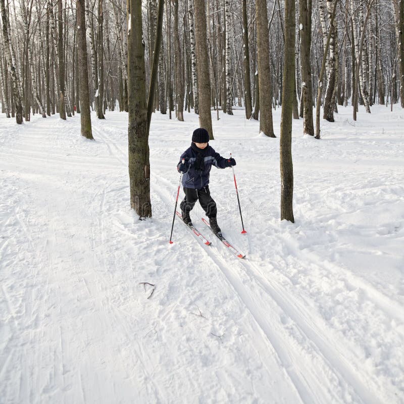 Nordic Skier stock image. Image of skis, trees, happy - 49921225