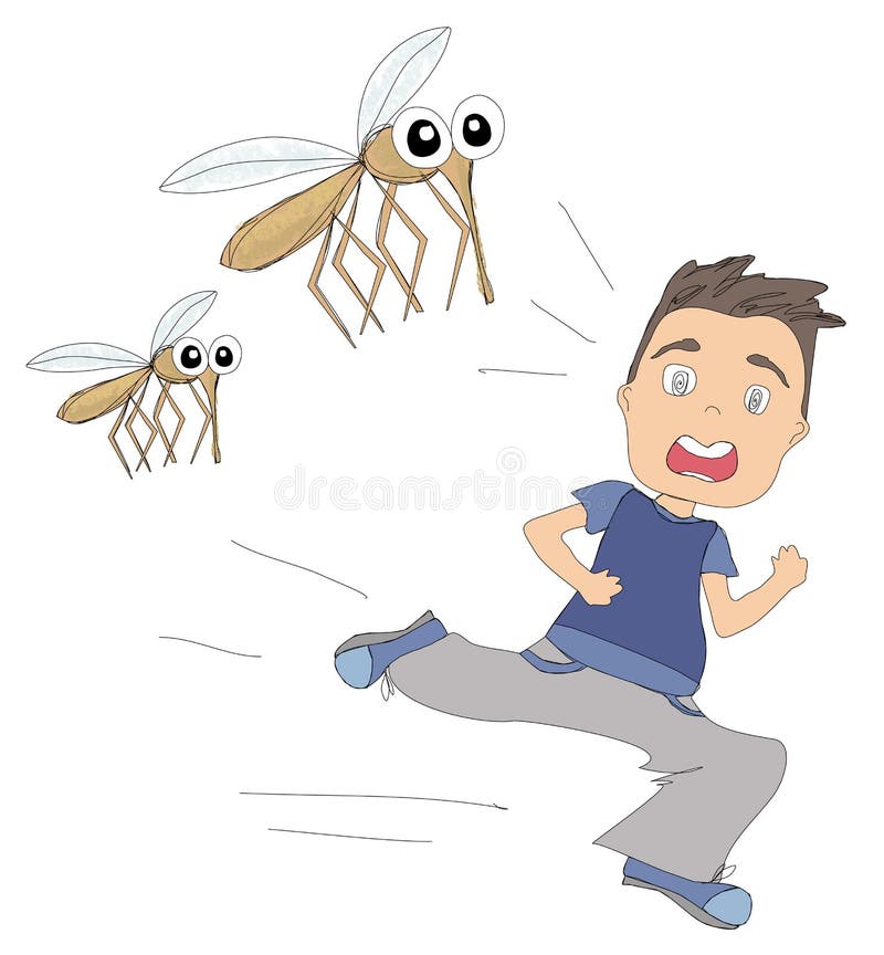 How A Mosquito Operates