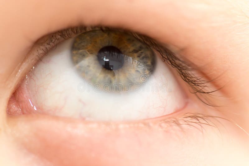 The boy`s eye. stock photo. Image of face, beautiful - 104532292
