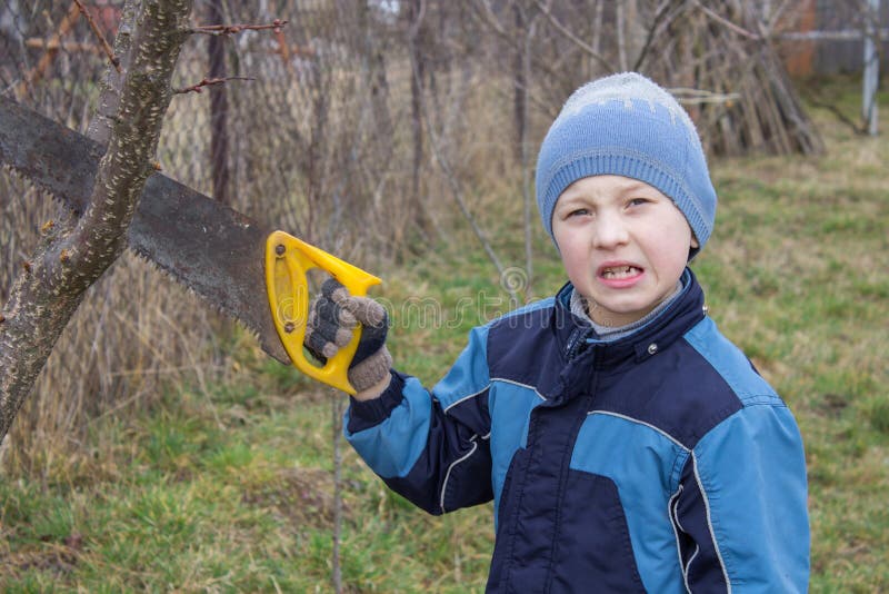 Boy with a Saw in the Garden Stock Image - Image of sharp, angry: 87800641