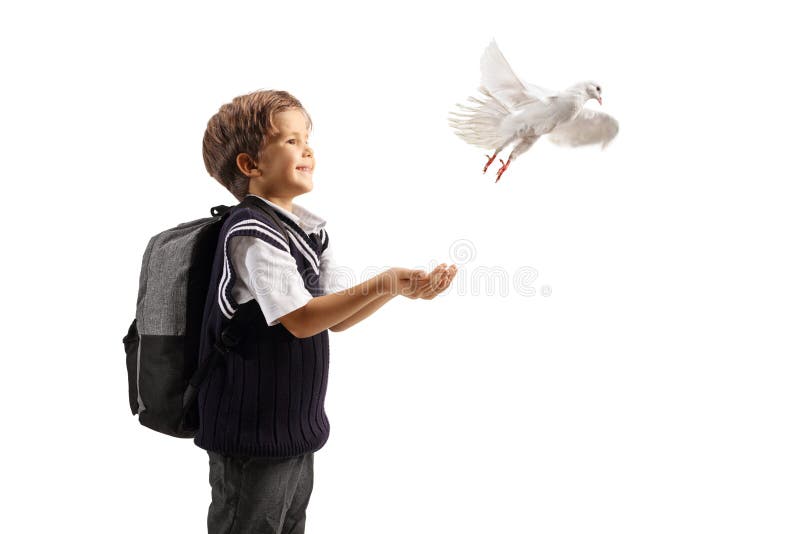 Boy in a School Uniform Letting a White Dove Fly from His Hands Stock ...