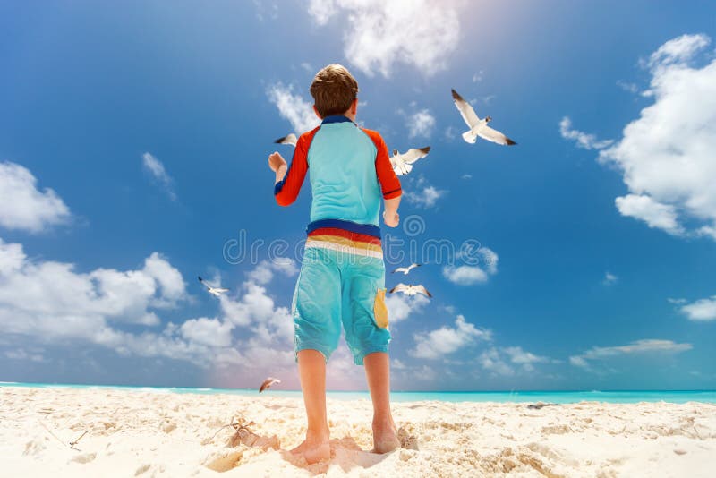 Boy and seagulls stock image. Image of turquoise, child - 116491013