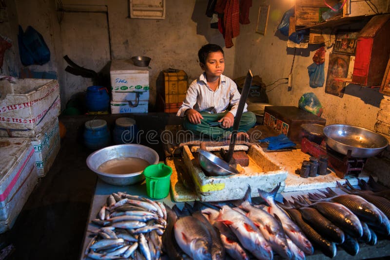 Street Trade Fish Kathmandu Nepal Stock Photos - Free & Royalty-Free ...