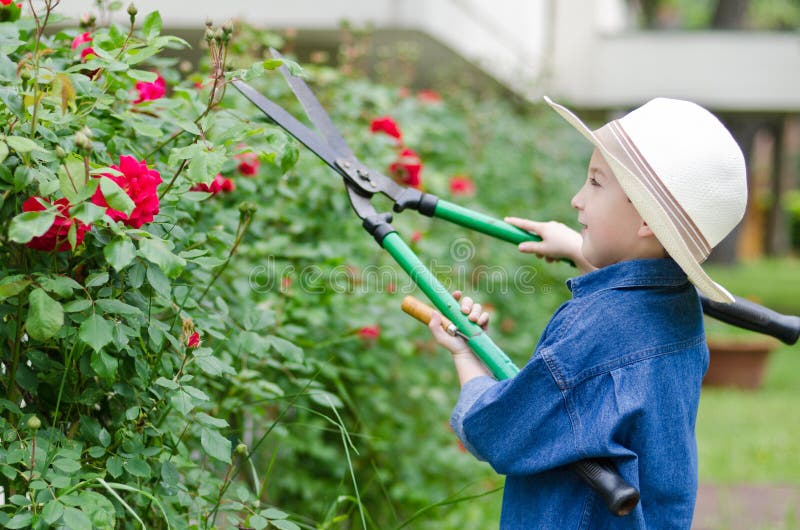 Boy with shears gardener stock image. Image of rural - 42573331