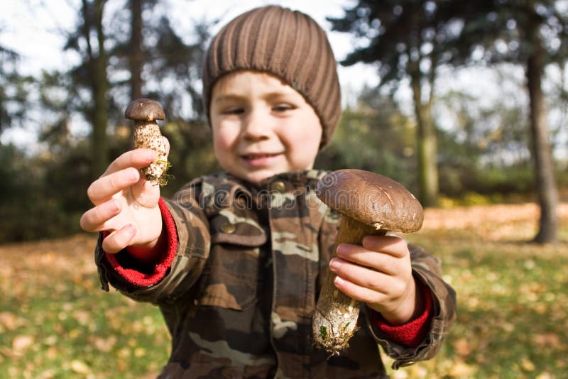 Group of Poisonous Mushrooms in a Grass Stock Image - Image of close ... Group of Poisonous Mushrooms in a Grass Stock Image - Image of close ...