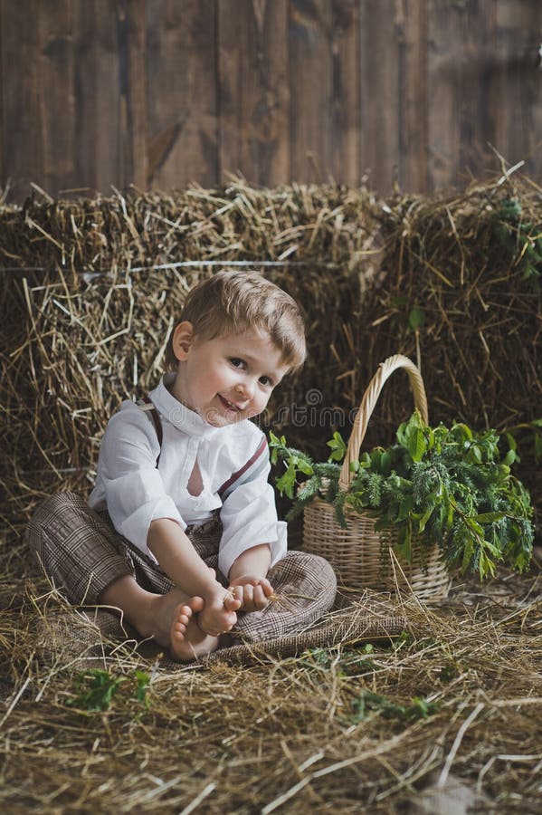 Portrait of a Baby among the Hay 6128. Stock Image - Image of cute ...