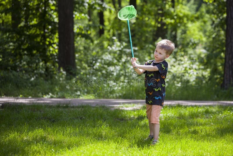 Boy Sitting Butterfly Net. stock image. Image of childhood - 186094853