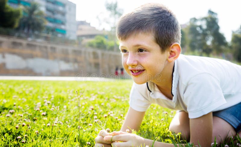 Boy sitting grass stock photo. Image of adolescence, beautiful - 81221108