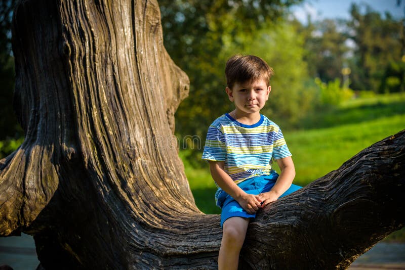 The Boy is Sitting on a Log. the Child Walks in the Summer Forest Stock ...