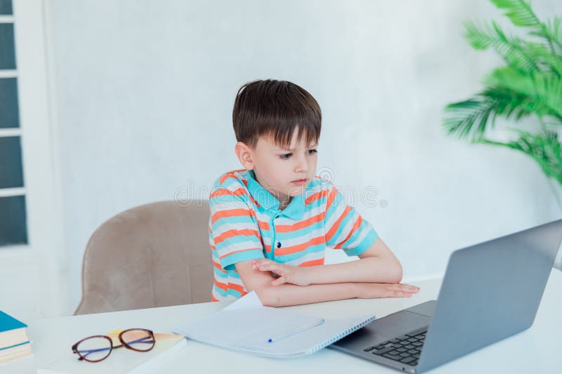 Boy Sitting at Table Looking at Laptop Stock Photo - Image of ...