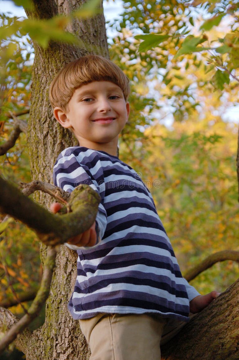 255 Straddling Tree Stock Photos - Free & Royalty-Free Stock Photos ...