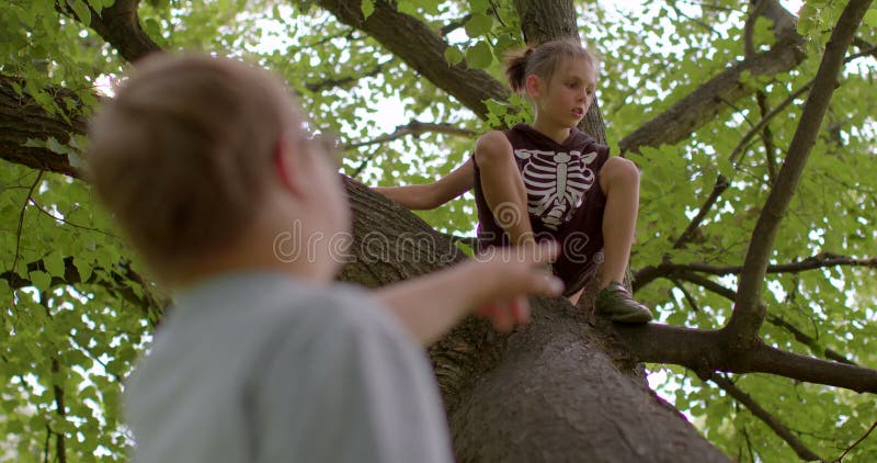 Boy is Sitting Tree Communication Friend Spending Active Leisure Time ...