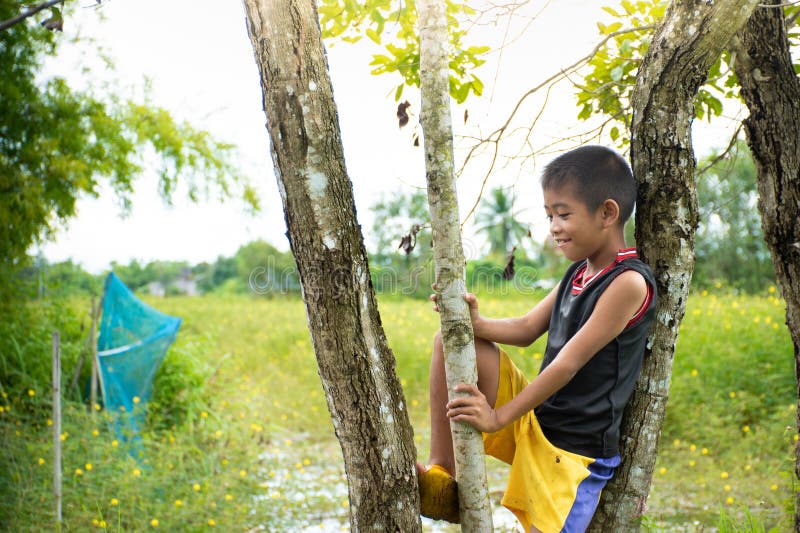 Boy Sitting on Tree Feeling Excited and Challenge, Asian Young Boy with ...