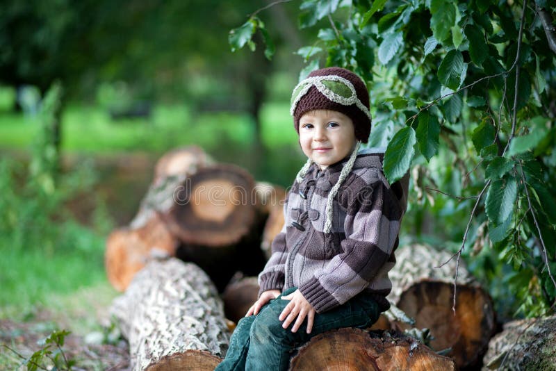 Boy, Sitting on a Tree Trunks Stock Image - Image of smile, autumn ...
