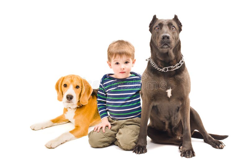 Boy sitting with two dogs stock photo. Image of expressing - 41921900