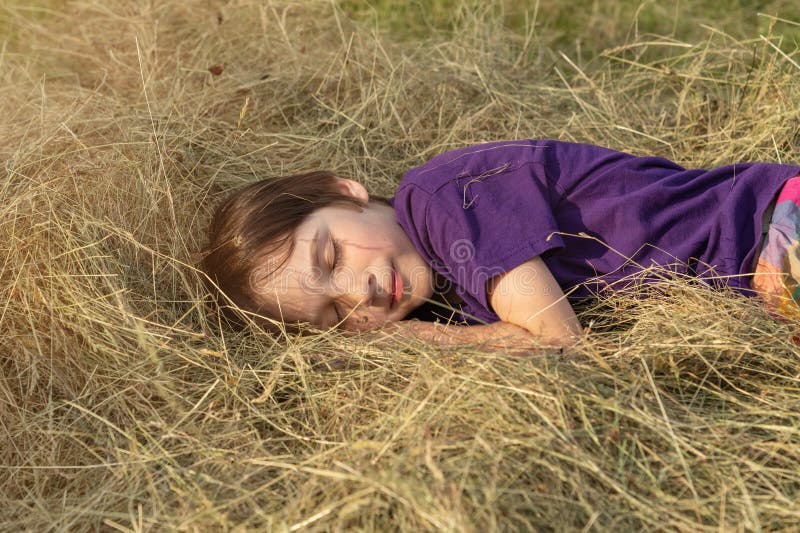 The Boy is Sleeping on a Haystack Stock Photo - Image of agriculture ...