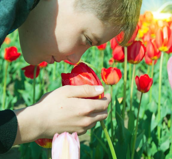Boy smelling stock photo. Image of face, american, single - 19619576