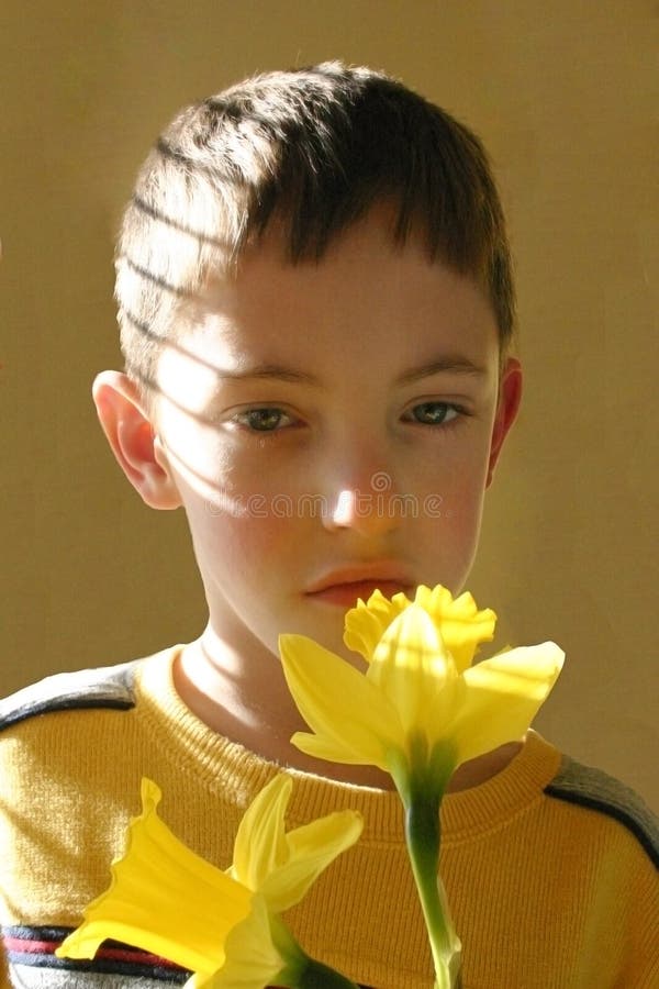 Boy smelling flower stock image. Image of looking, flower - 252341