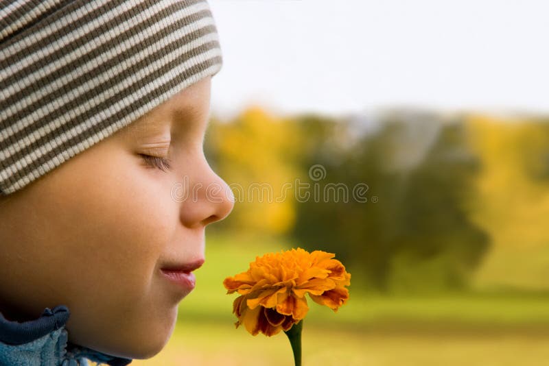 Boy smelling flower stock image. Image of single, cheerful - 8136551