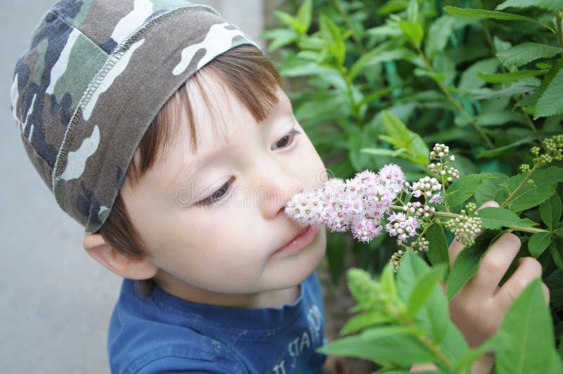 Boy smelling flower stock image. Image of feeling, life - 42122717