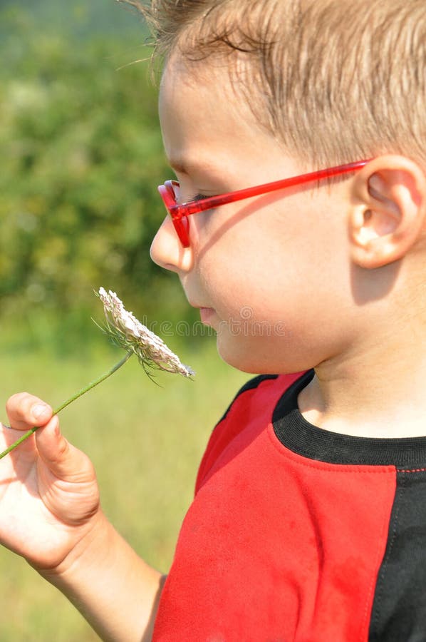 Boy smelling flowers stock photo. Image of activities - 22974768