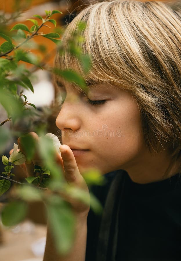 Boy smelling flowers stock photo. Image of portrait - 267572092
