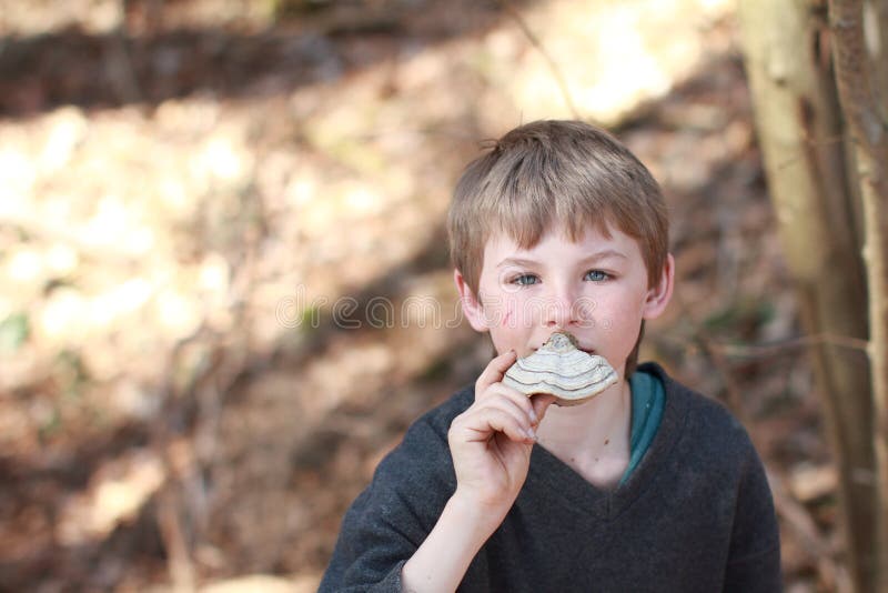 Boy Smelling a Scaly Polypore Stock Image - Image of bush, polypore ...