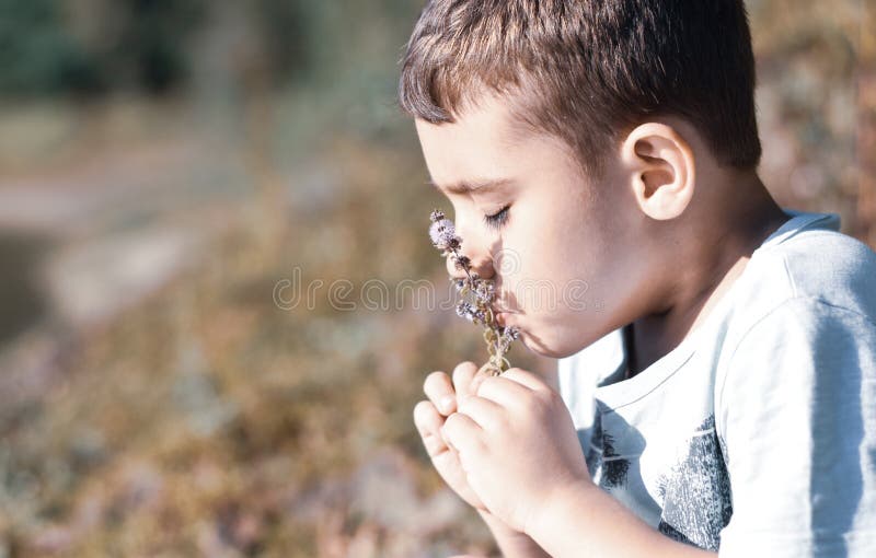 Boy Sniffs Peppermint Flower Stock Image - Image of eyes, summer: 254562743