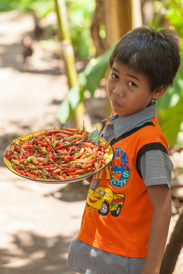 Boy and spices editorial photography. Image of bali, person - 24789612