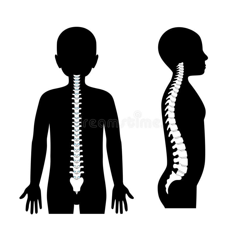 Boy Healthy Spine Vector Illustration Stock Vector - Illustration of ... Boy Healthy Spine Vector Illustration Stock Vector - Illustration of ...