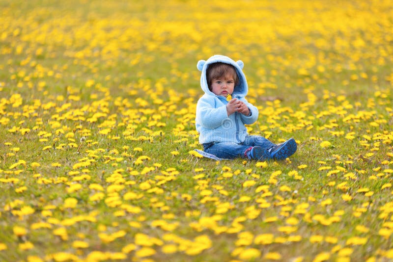 Boy in Spring Flowers Field Stock Image - Image of toddler, baby: 30773459