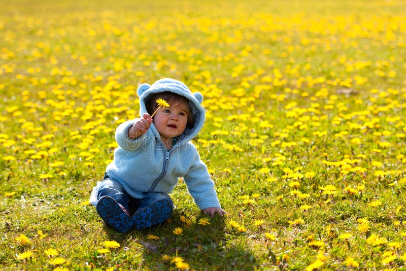 Boy in Spring Flowers Field Stock Photo - Image of infant, leaf: 30773500