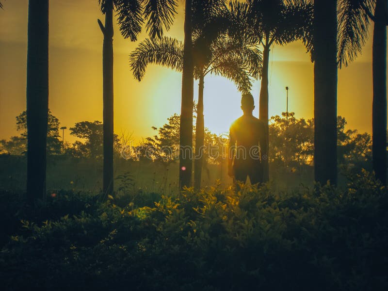 A Boy is Standing in a Park during Sunset Stock Image - Image of ...