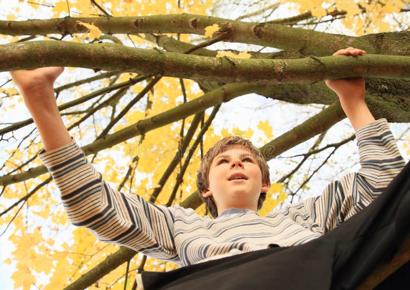 Boy standing on the tree stock photo. Image of maple - 46275476
