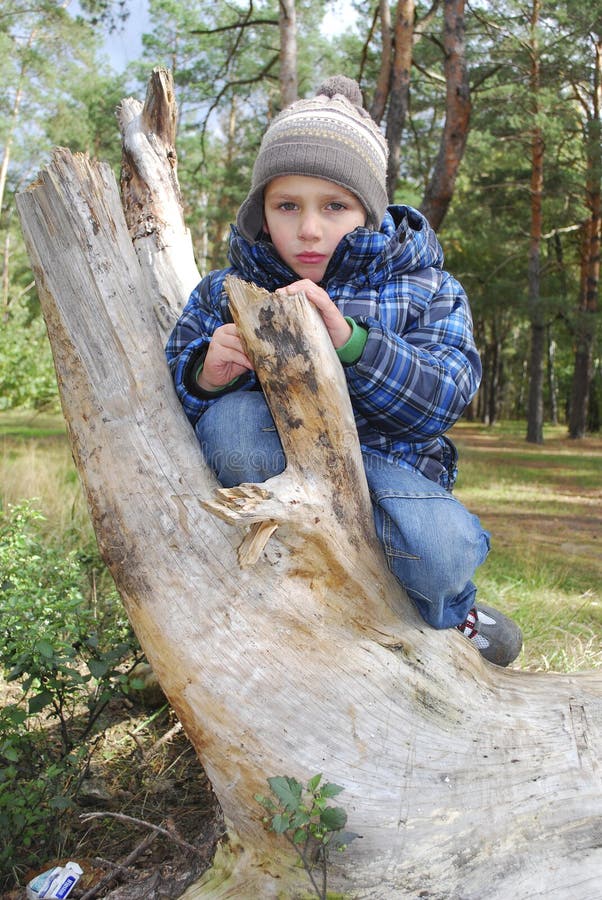 Boy Standing in the Woods on a Log. Stock Image - Image of looking ...