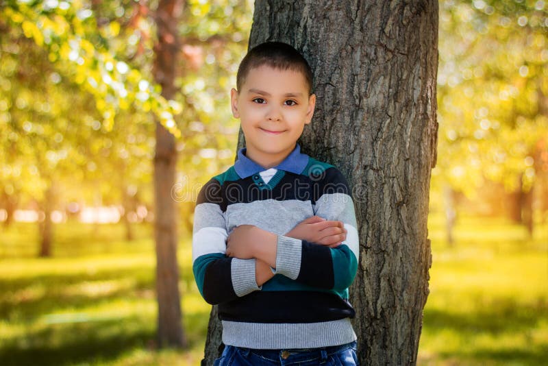 A Boy Stands Leaning Against a Tree in a Park Stock Image - Image of ...