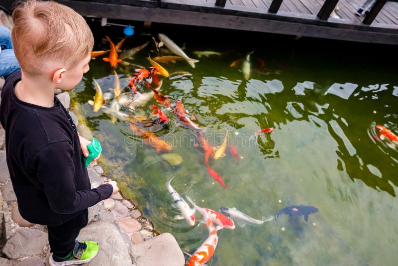 Boy Stands on the Shore of the Rocks and Throws Food into the Lake ...