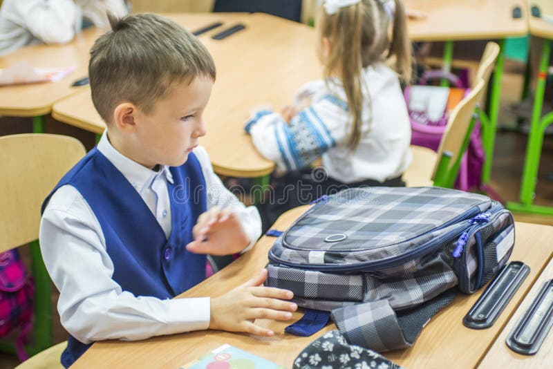 The Boy Student is Watching the Lesson in Elementary School Class ...