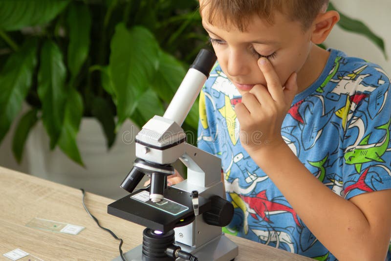 Boy Studies Biology at Home with a Microscope while Looking at Plant Slides, Joyful and Curious ...